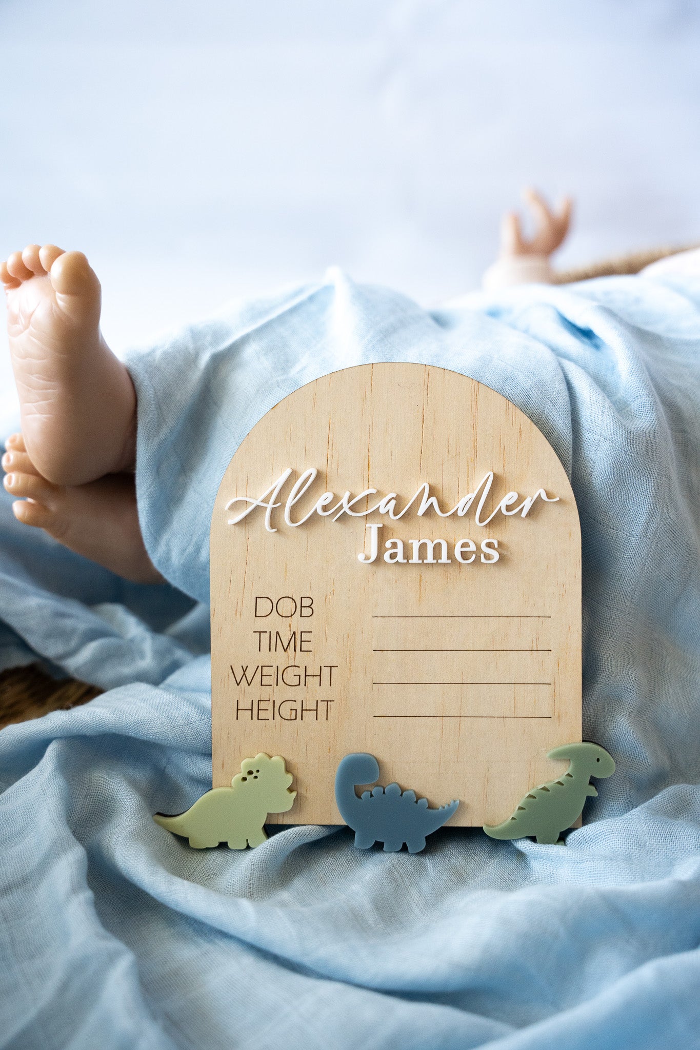 Dinosaur Birth Announcement Plaque – BLH Creative